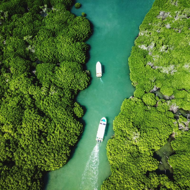 Drydocks World on LinkedIn: #worldenvironmentday | 10 comments Drydocks World on LinkedIn: #worldenvironmentday | 10 comments