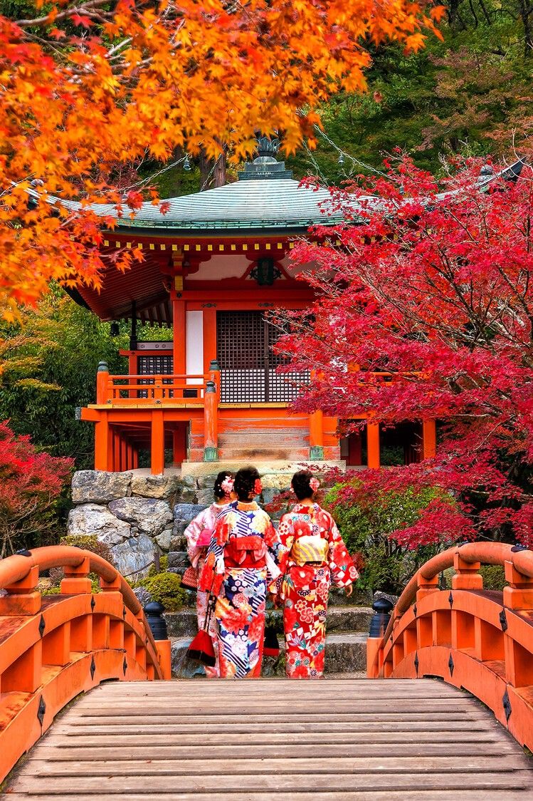 Dr. Aditya Kumar Vijay on LinkedIn: #autumn #kyoto Dr. Aditya Kumar Vijay on LinkedIn: #autumn #kyoto
