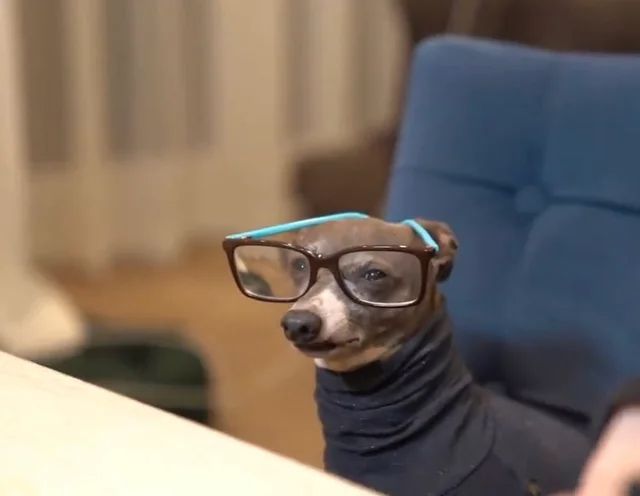D'Andre W. on LinkedIn: I solved a dynamic programming question in less ... D'Andre W. on LinkedIn: I solved a dynamic programming question in less ...