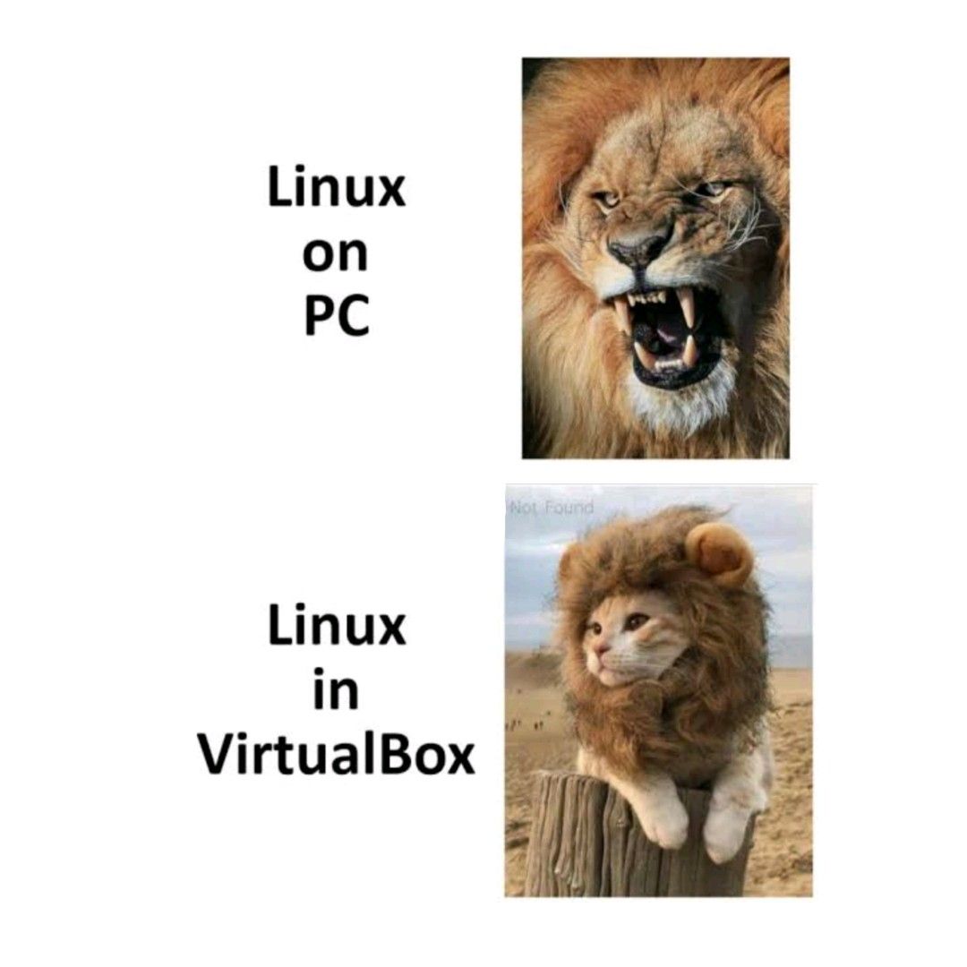 Mukul Mishra on LinkedIn: Linux in a VirtualBox be like this 😄🐧 Mukul Mishra on LinkedIn: Linux in a VirtualBox be like this 😄🐧