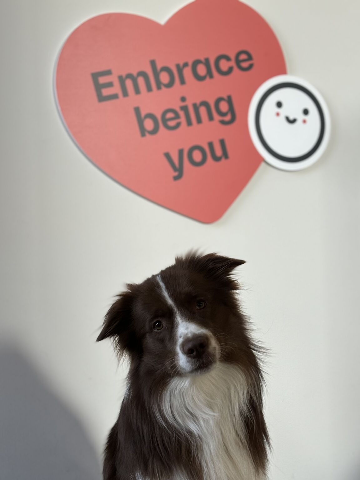 Sigrid Sitnikov on LinkedIn: #dogsoflinkedin #marketing #saas Sigrid Sitnikov on LinkedIn: #dogsoflinkedin #marketing #saas