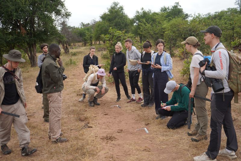 Walter Musakwa on LinkedIn: Collecting hyena footprints with team ... Walter Musakwa on LinkedIn: Collecting hyena footprints with team ...