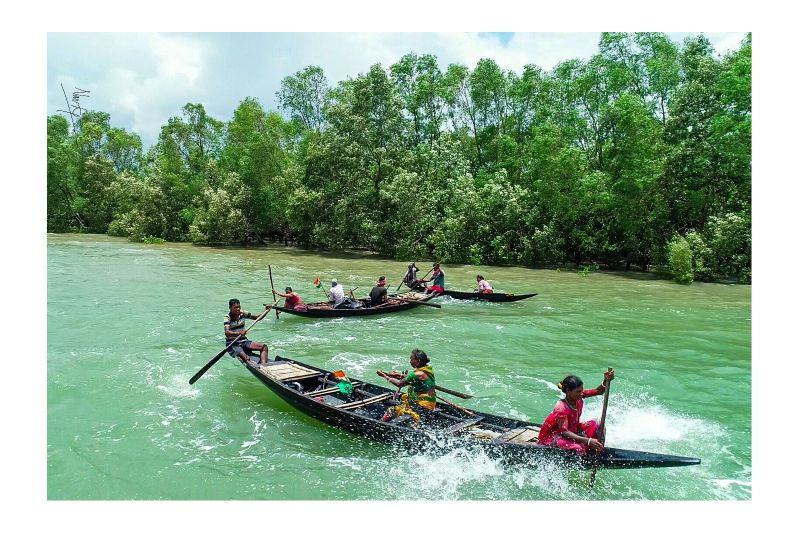 Anamika Rajak on LinkedIn: The Sundarbans is the largest mangrove ... Anamika Rajak on LinkedIn: The Sundarbans is the largest mangrove ...