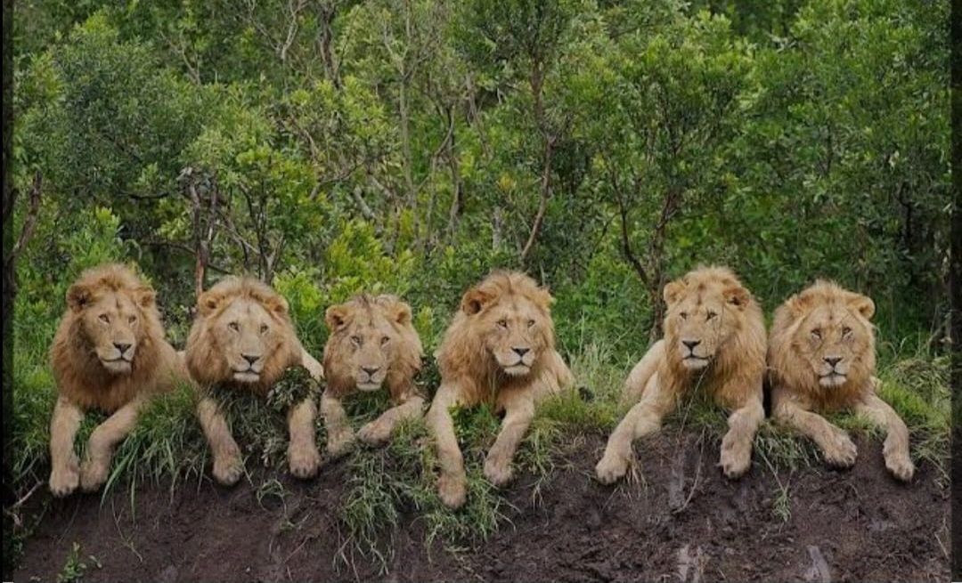Bhadresh Nagori bhadreshnagori on LinkedIn: 🌅🌈 04/ 02 /2024 Pranam to ... Bhadresh Nagori bhadreshnagori on LinkedIn: 🌅🌈 04/ 02 /2024 Pranam to ...