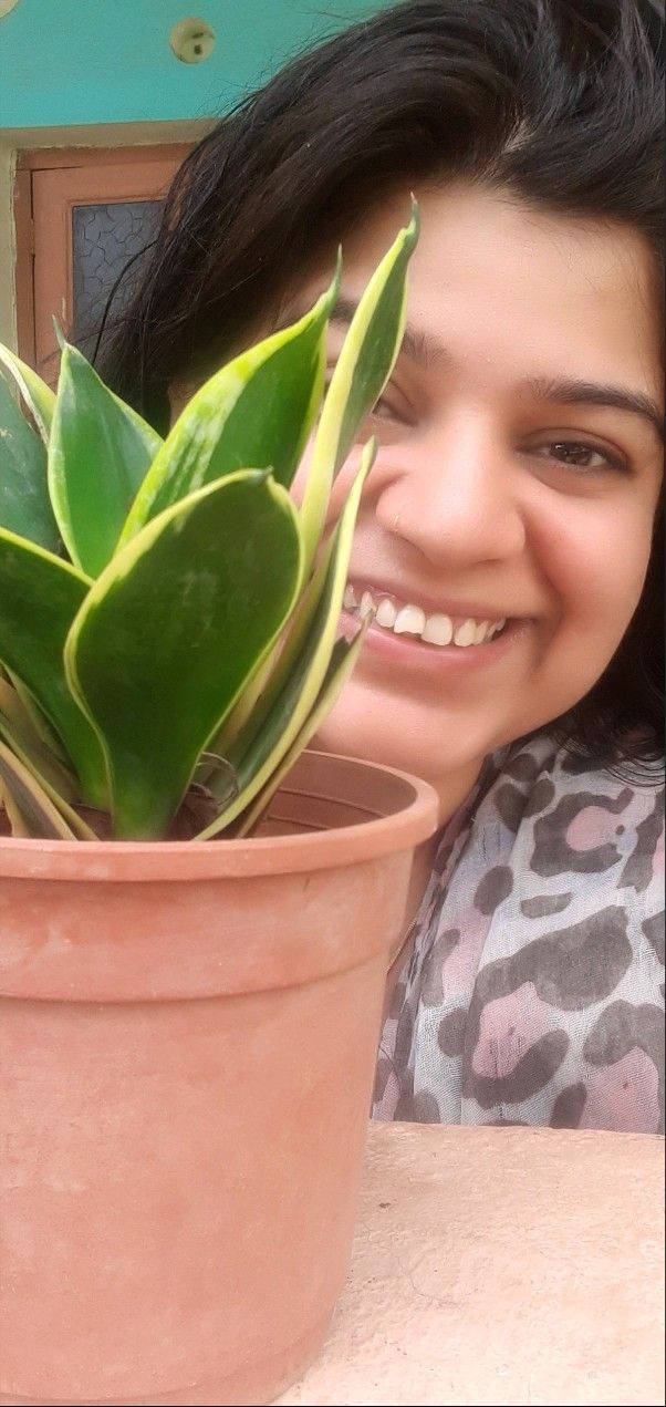 Qaynat Ahmad on LinkedIn: #communications #people #email #notifications ... Qaynat Ahmad on LinkedIn: #communications #people #email #notifications ...