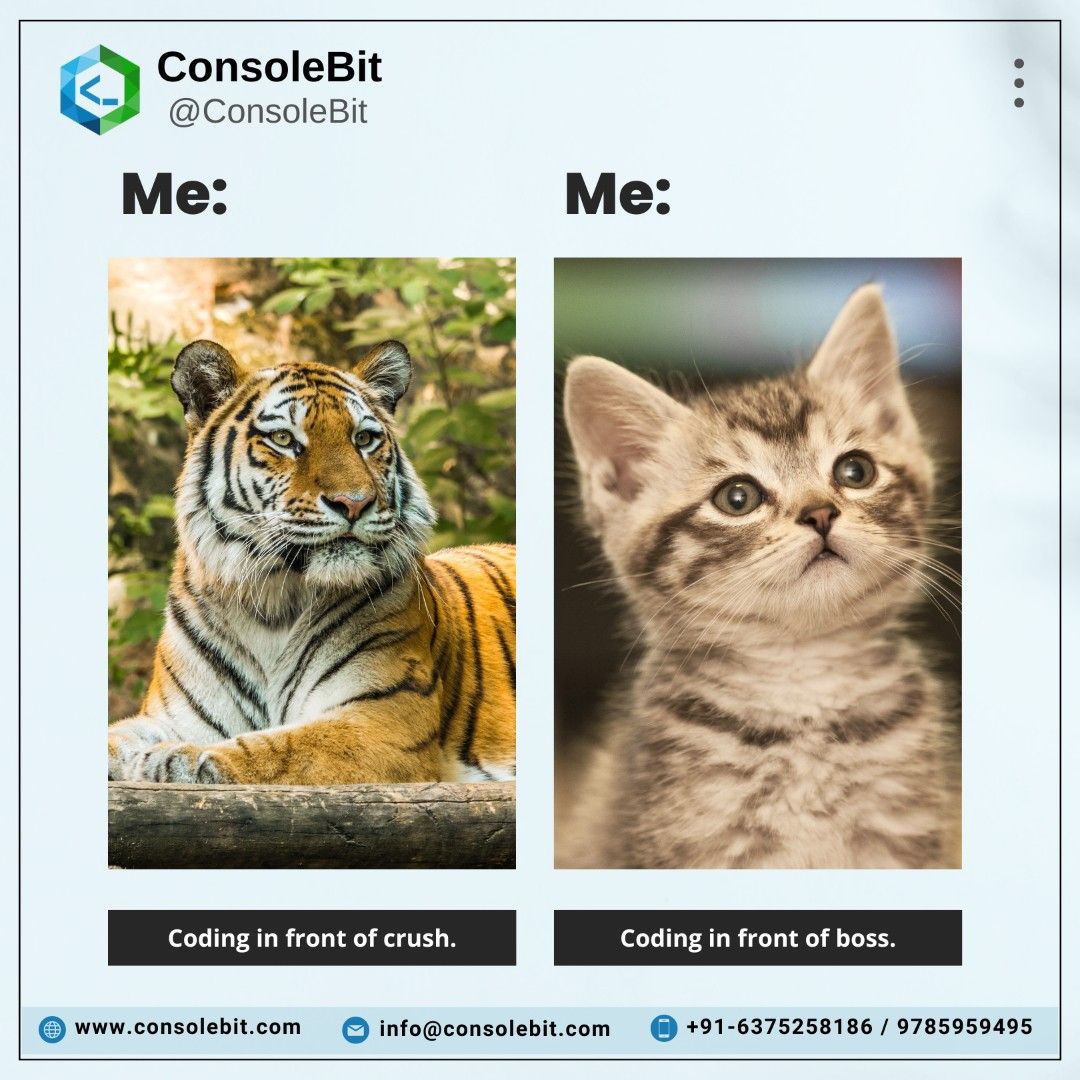 ConsoleBit Technologies Pvt. Ltd. on LinkedIn: #programmingmeme # ... ConsoleBit Technologies Pvt. Ltd. on LinkedIn: #programmingmeme # ...