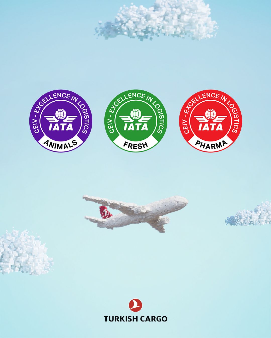 Turkish Cargo on LinkedIn: #turkishcargo #iata #ceiv Turkish Cargo on LinkedIn: #turkishcargo #iata #ceiv