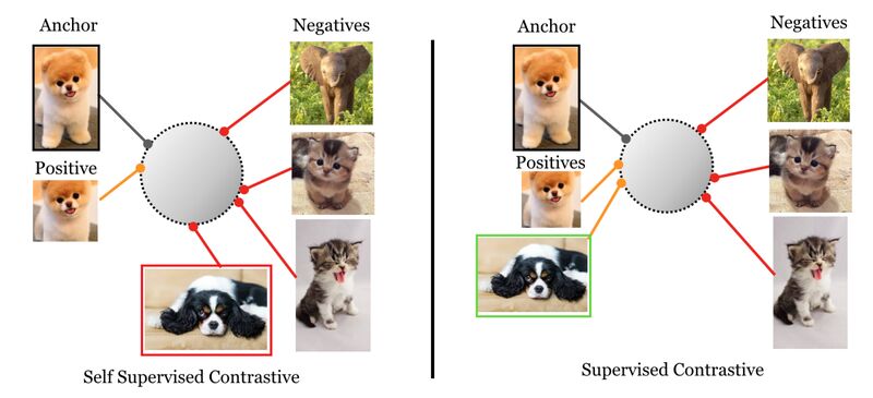 Vishwas Kshirsagar on LinkedIn: #contrastivelearning #datascience # ... Vishwas Kshirsagar on LinkedIn: #contrastivelearning #datascience # ...