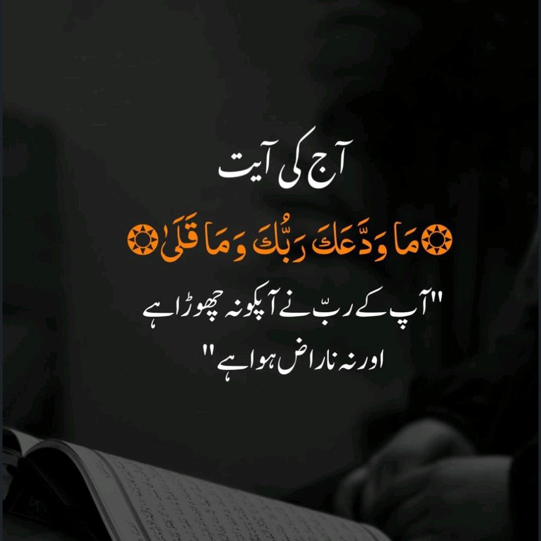 Muhammad Usman Ghani on LinkedIn: Beshak βΊπ Muhammad Usman Ghani on LinkedIn: Beshak βΊπ