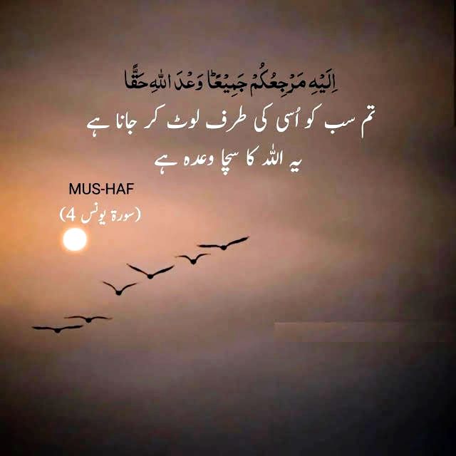 Shoaib Qasim posted on LinkedIn Shoaib Qasim posted on LinkedIn