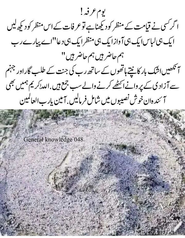 SYED SALMAN ALI on LinkedIn: Ameen 💕 SYED SALMAN ALI on LinkedIn: Ameen 💕