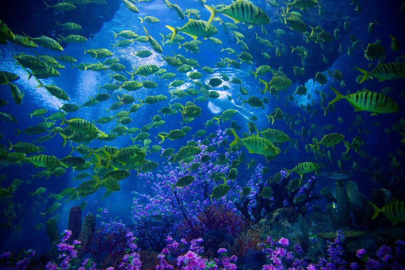 Drydocks World on LinkedIn: #worldoceansday #sustainableshipyard #dpworld Drydocks World on LinkedIn: #worldoceansday #sustainableshipyard #dpworld