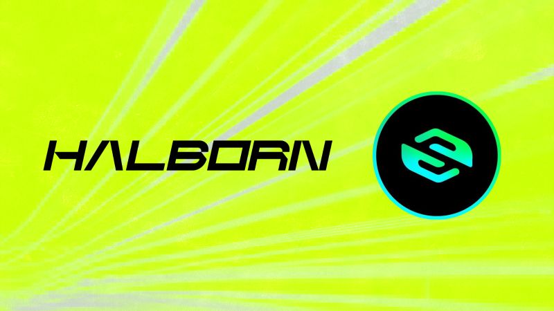 Halborn on LinkedIn: #security Halborn on LinkedIn: #security