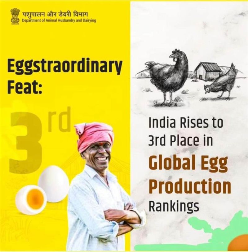 MunTazir Ahmad on LinkedIn: #layerfarm #poultryindustry #egg #poultry MunTazir Ahmad on LinkedIn: #layerfarm #poultryindustry #egg #poultry