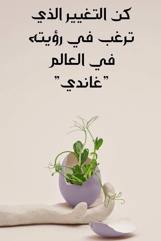 Mahmoud Salman SPHRi posted on LinkedIn Mahmoud Salman SPHRi posted on LinkedIn