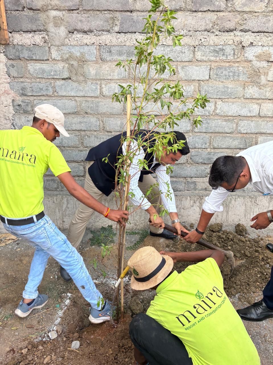 Saurabh Choksi on LinkedIn: World Environment Day Team planted trees ... Saurabh Choksi on LinkedIn: World Environment Day Team planted trees ...