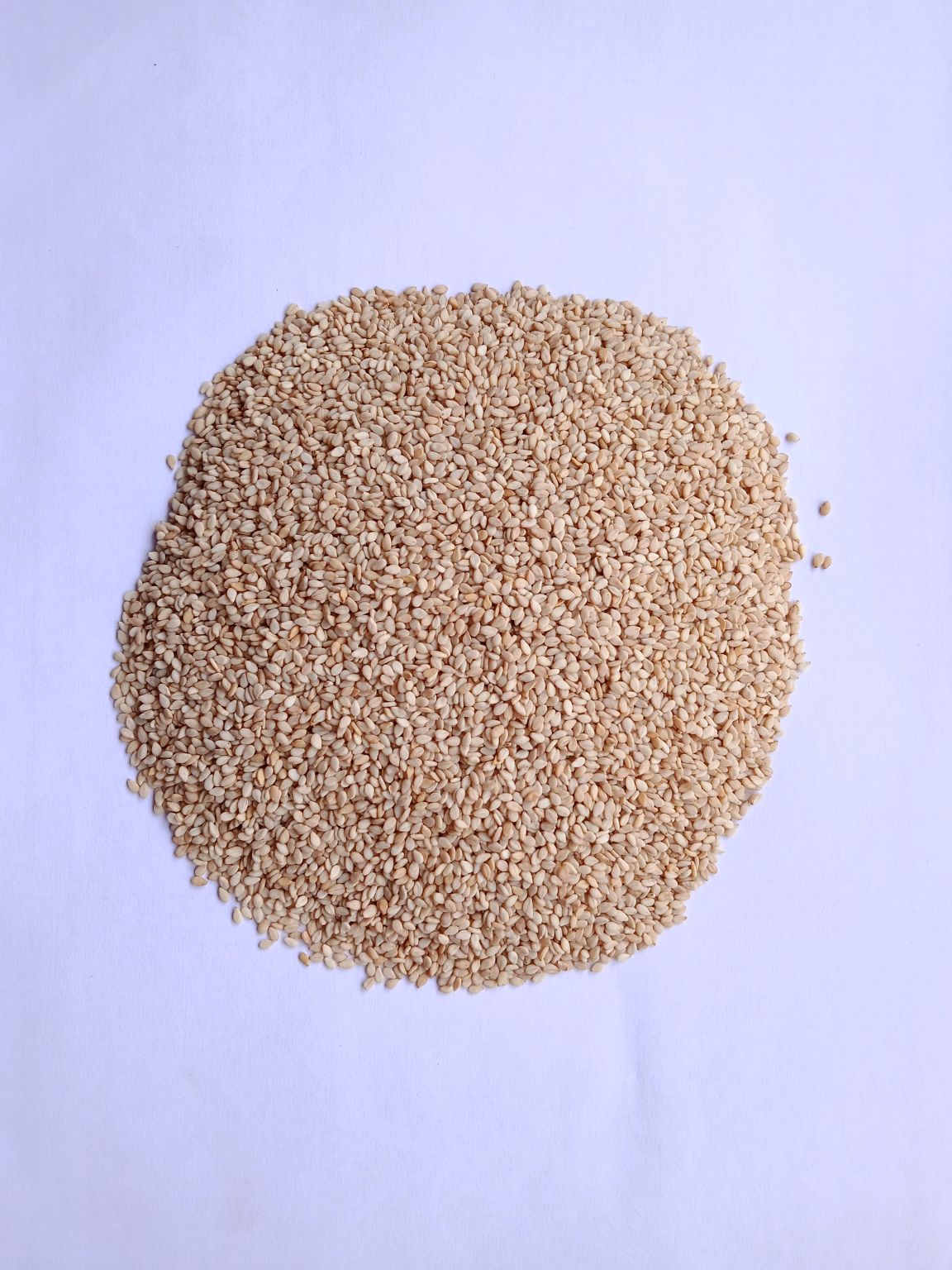Rudra Pratap Singh Rathore on LinkedIn: AVAILABLE - SESAME SEED (TILLI ... Rudra Pratap Singh Rathore on LinkedIn: AVAILABLE - SESAME SEED (TILLI ...