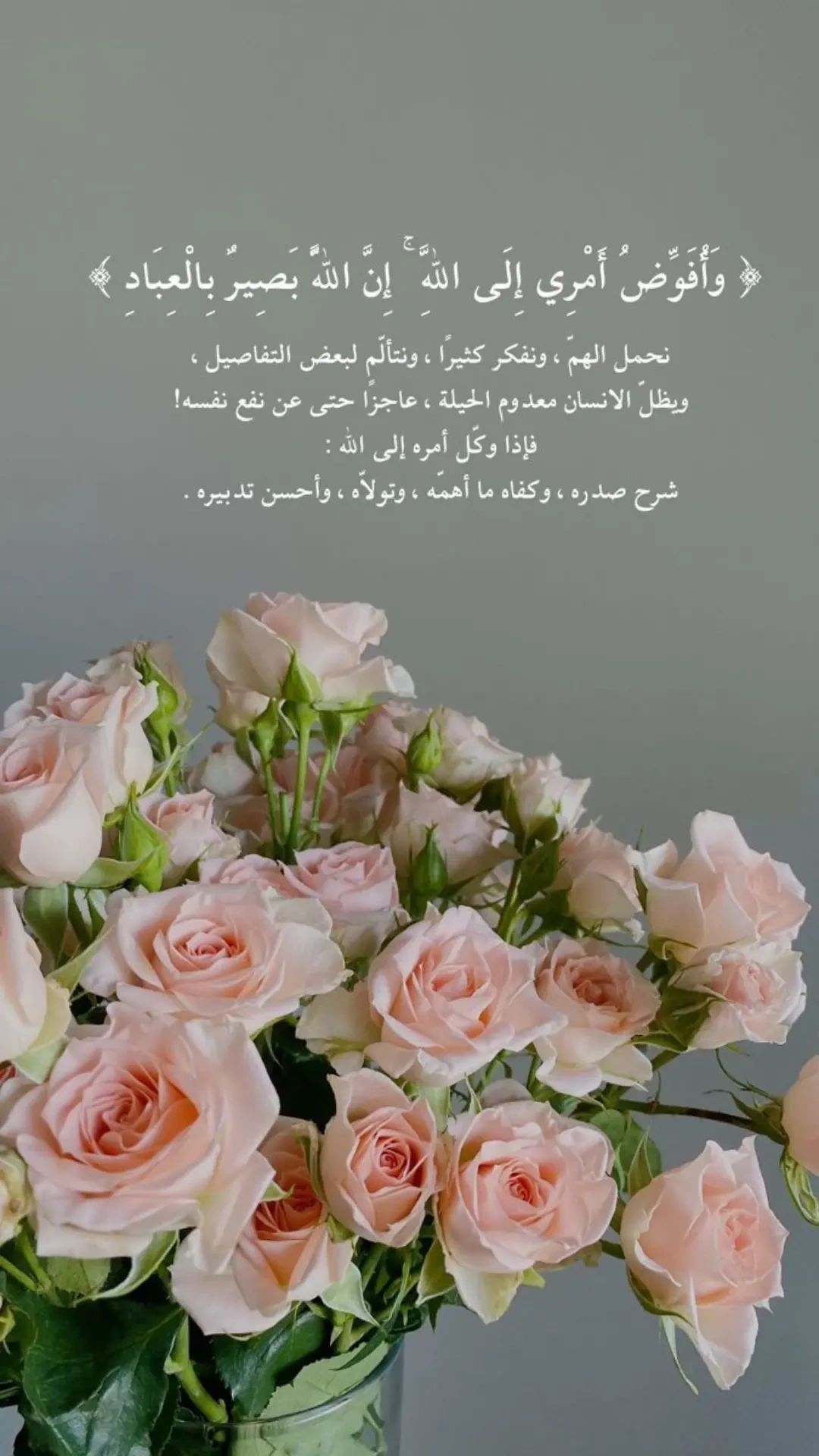 marwa yaseen posted on LinkedIn marwa yaseen posted on LinkedIn