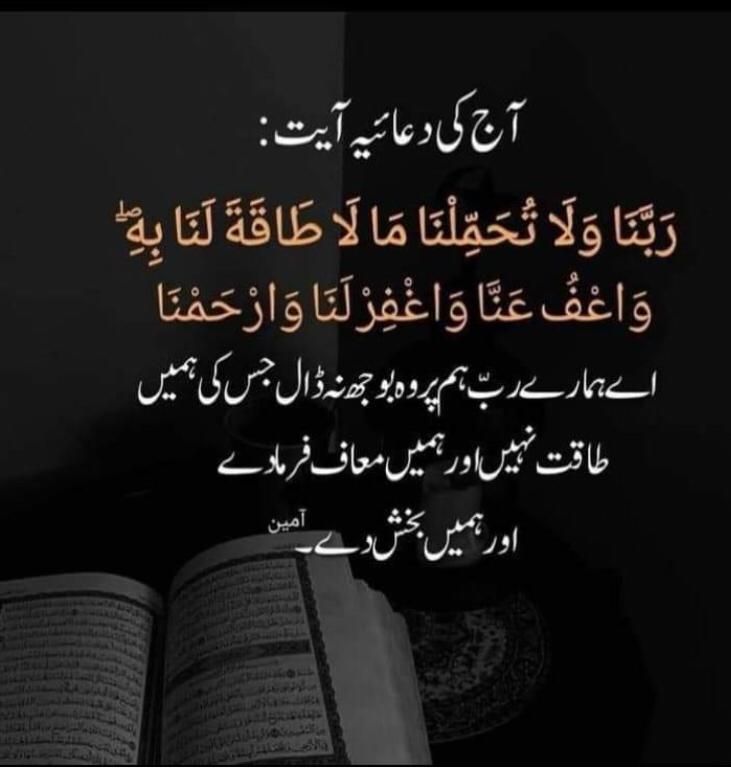 Bushra Yousaf on LinkedIn: #dawoodtechnextgen #dawoodtechnextus # ... Bushra Yousaf on LinkedIn: #dawoodtechnextgen #dawoodtechnextus # ...