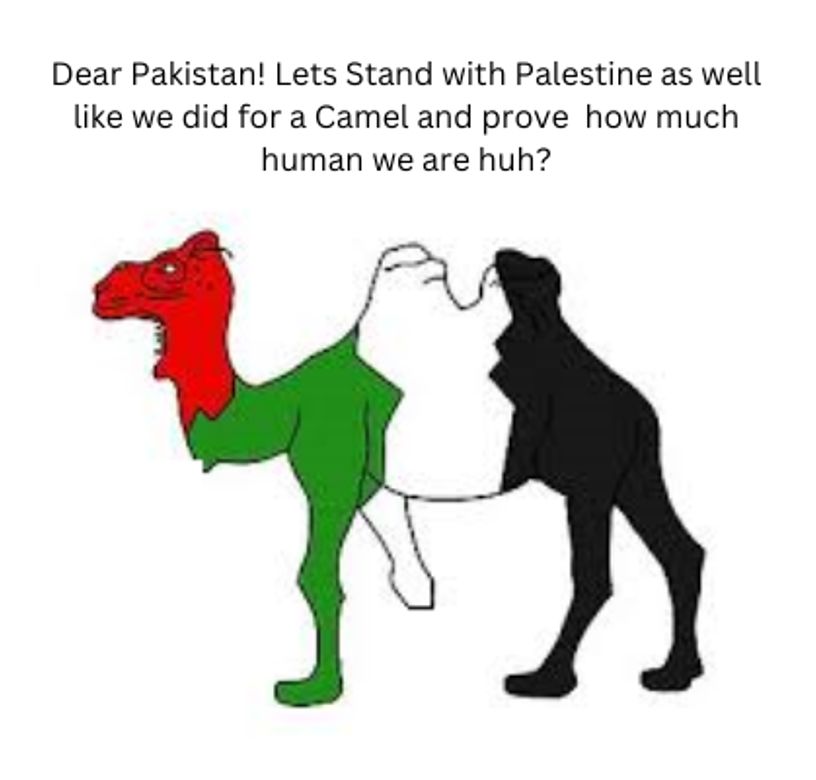 Muhammad Mahad on LinkedIn: Let's See! Muhammad Mahad on LinkedIn: Let's See!