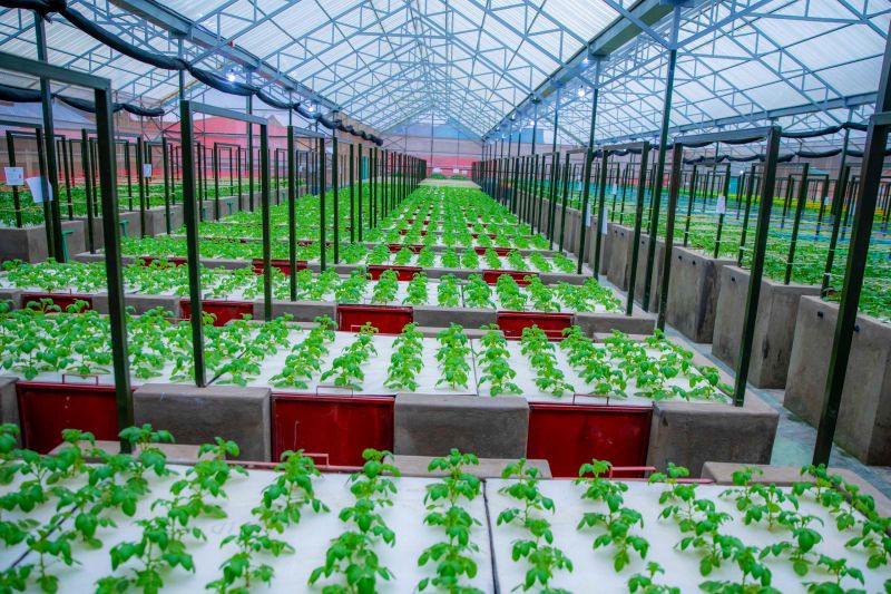 RYAFRwanda on LinkedIn: #rwandaagrishow2024 RYAFRwanda on LinkedIn: #rwandaagrishow2024