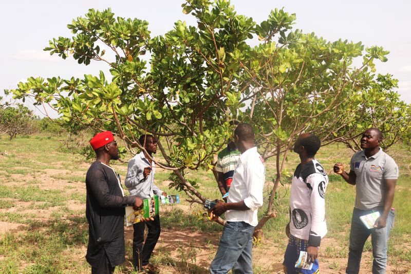 GIZ Ghana on LinkedIn: #eugap #reach #sustainableagriculture # ... GIZ Ghana on LinkedIn: #eugap #reach #sustainableagriculture # ...