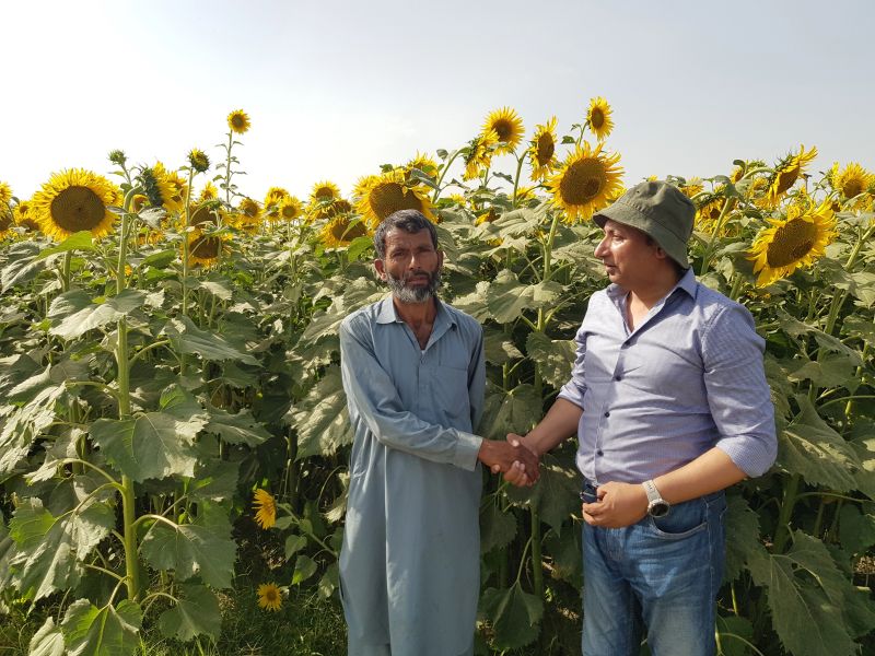 MUHAMMAD ZUBAIR AHMAD on LinkedIn: #chahat MUHAMMAD ZUBAIR AHMAD on LinkedIn: #chahat