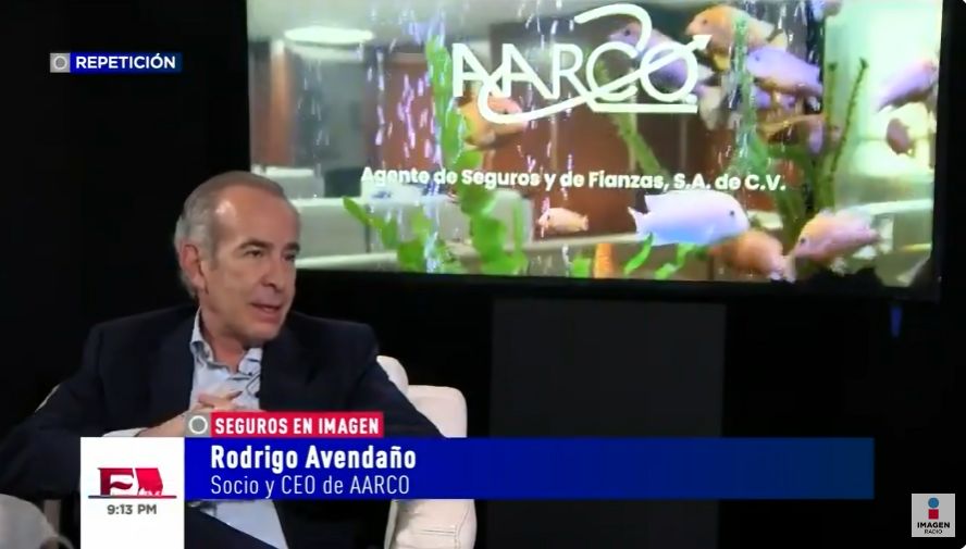 RAFAEL REBOLLAR FERNANDEZ en LinkedIn: Qué importante papel tienen las ... RAFAEL REBOLLAR FERNANDEZ en LinkedIn: Qué importante papel tienen las ...