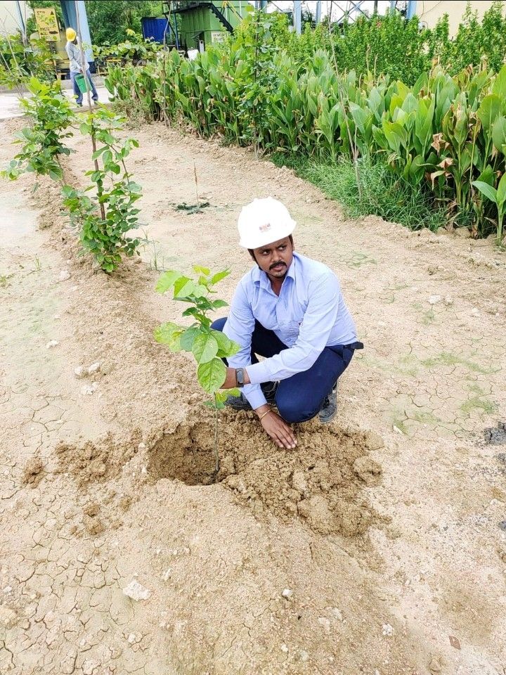 Pappu Kumar on LinkedIn: Plantation near my plant. 🌱 Pappu Kumar on LinkedIn: Plantation near my plant. 🌱