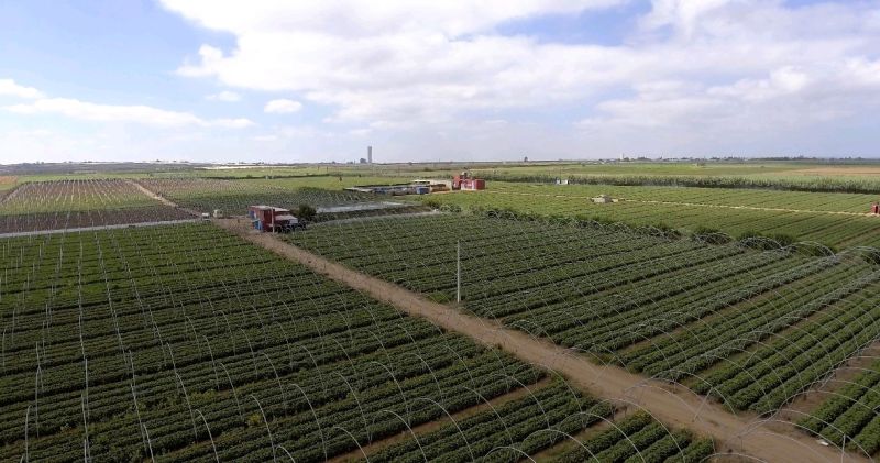 Adeyemi Matthew on LinkedIn: Climate Finance in Africa: AfDB ... Adeyemi Matthew on LinkedIn: Climate Finance in Africa: AfDB ...