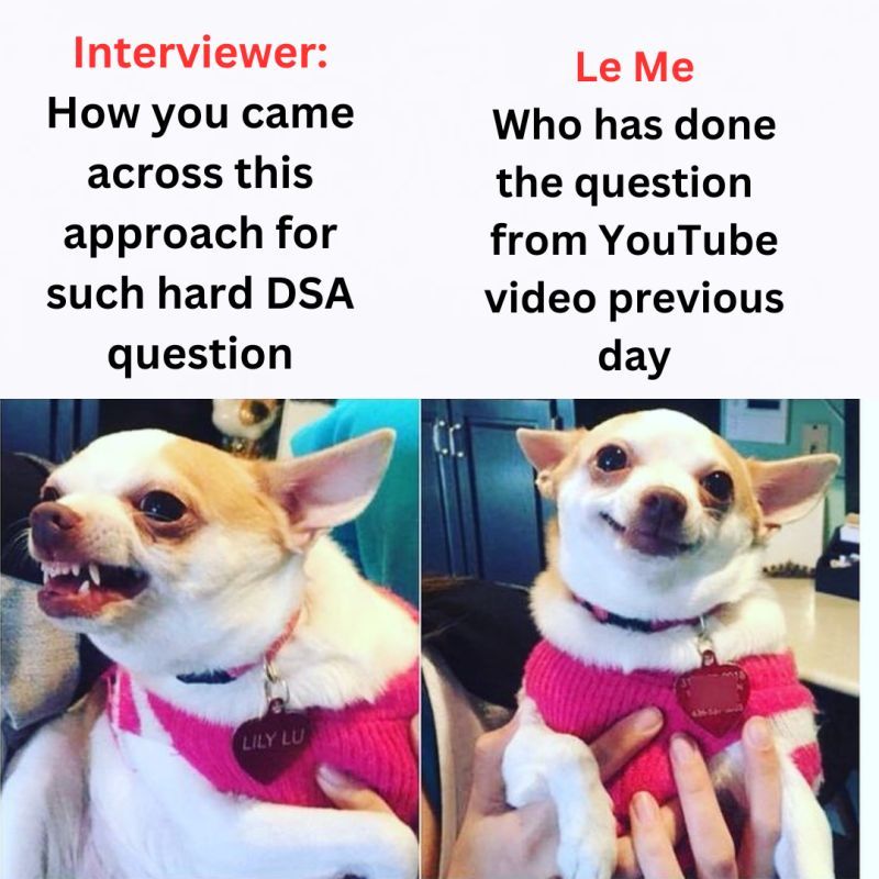 Harsh Gupta on LinkedIn: #meme #memes #datastructures # ... Harsh Gupta on LinkedIn: #meme #memes #datastructures # ...