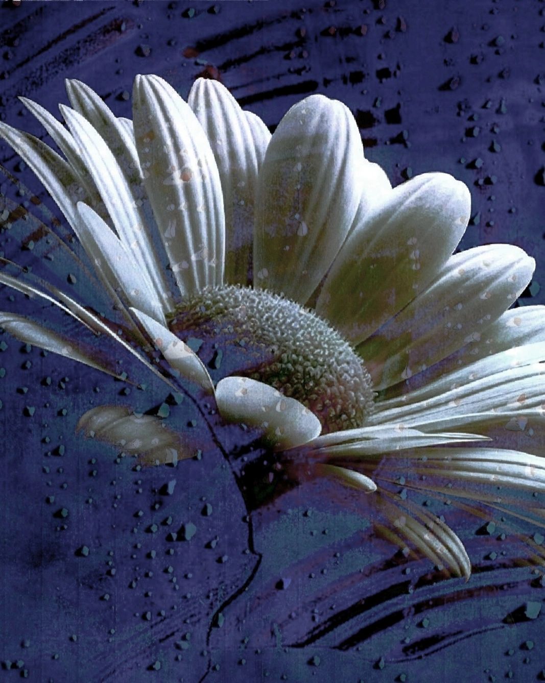 Gianfranco Cavallazzi on LinkedIn: Non importa che tu sia una rosa, un ... Gianfranco Cavallazzi on LinkedIn: Non importa che tu sia una rosa, un ...