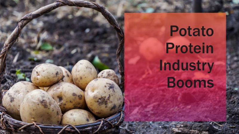 Rugved Kulkarni on LinkedIn: #protein Rugved Kulkarni on LinkedIn: #protein