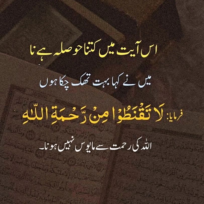Mohammad Aamir Memon posted on LinkedIn Mohammad Aamir Memon posted on LinkedIn