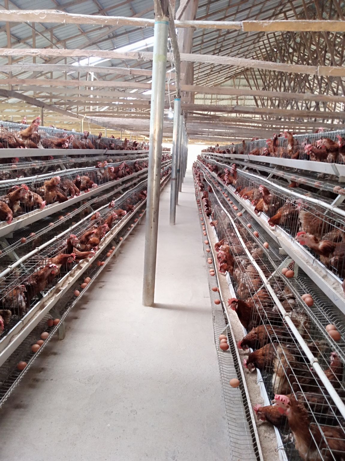 Akpe Ferdinand posted on LinkedIn Akpe Ferdinand posted on LinkedIn