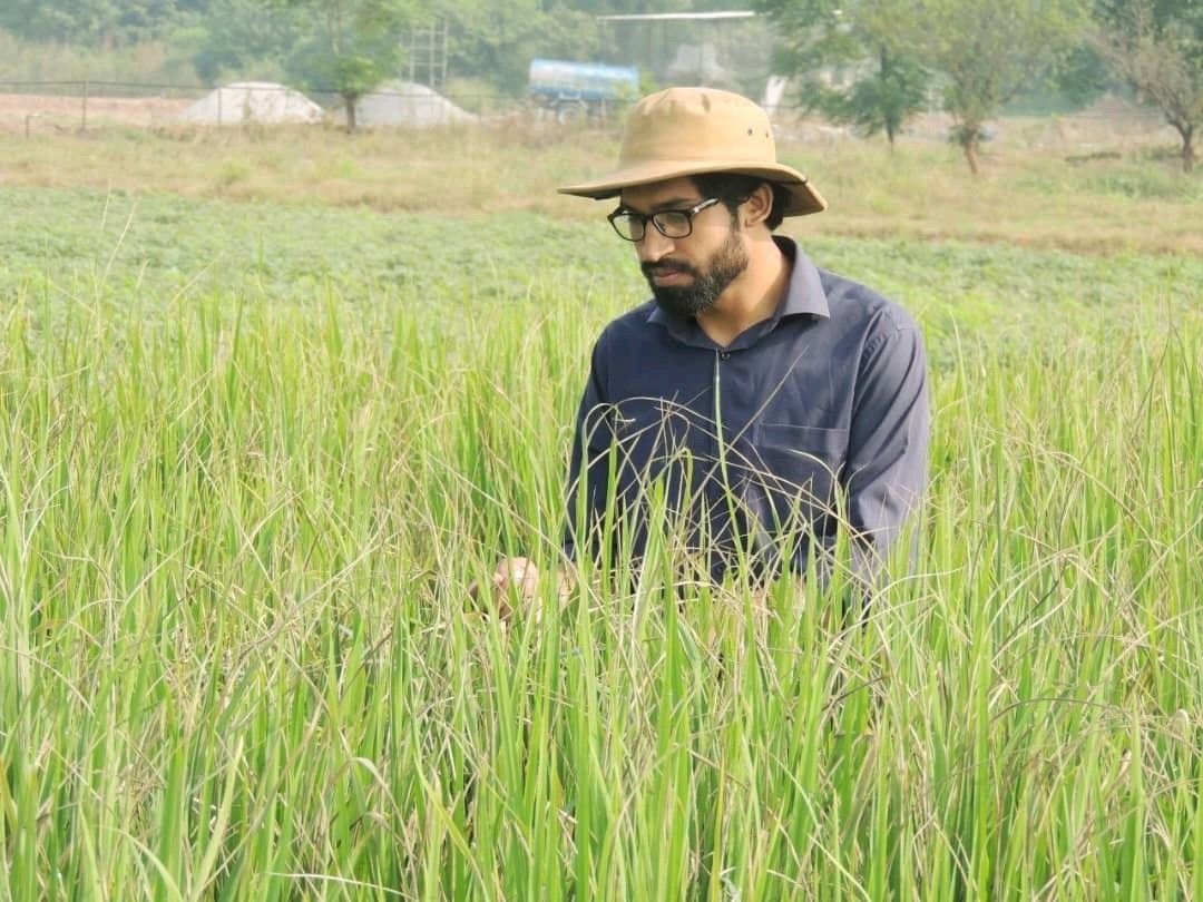 M Faizan Anwar khan on LinkedIn: During survey AT CROP DISEASES ... M Faizan Anwar khan on LinkedIn: During survey AT CROP DISEASES ...