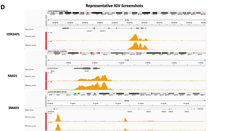 Omiqa Bioinformatics on LinkedIn: #prostatecancerresearch #epigenetics ... Omiqa Bioinformatics on LinkedIn: #prostatecancerresearch #epigenetics ...