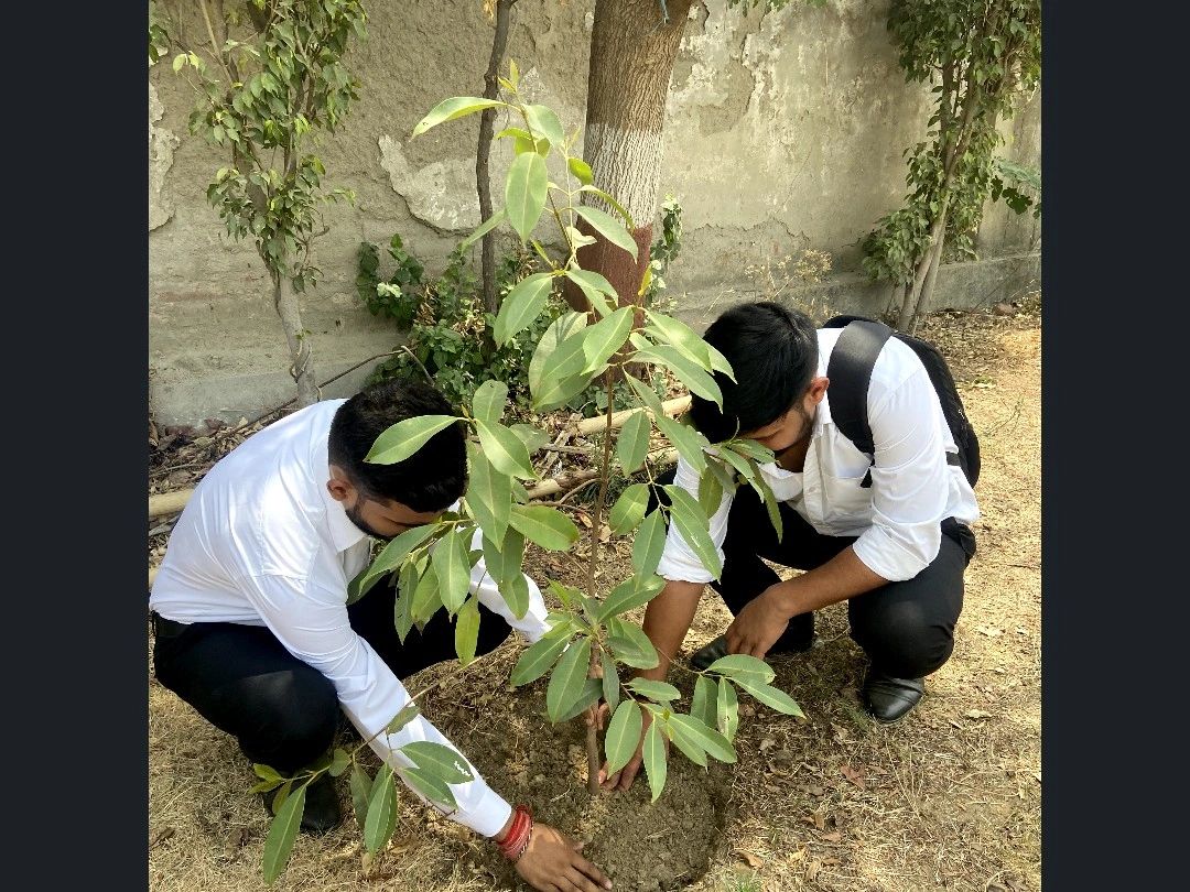 ayush chauhan on LinkedIn: #sustainability #treeplanting # ... ayush chauhan on LinkedIn: #sustainability #treeplanting # ...