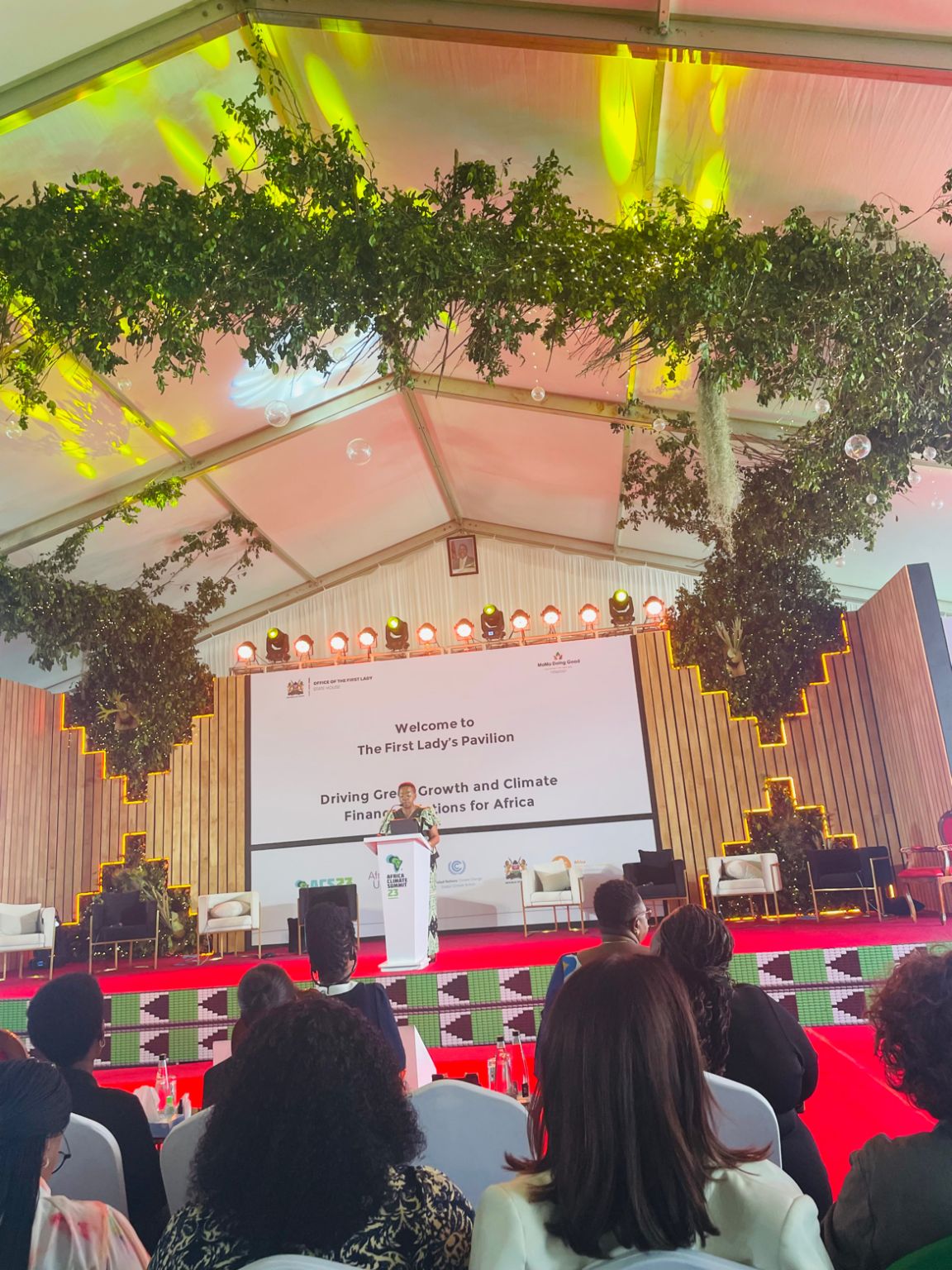 Jane Wangari Kinyua on LinkedIn: #climateweek Jane Wangari Kinyua on LinkedIn: #climateweek