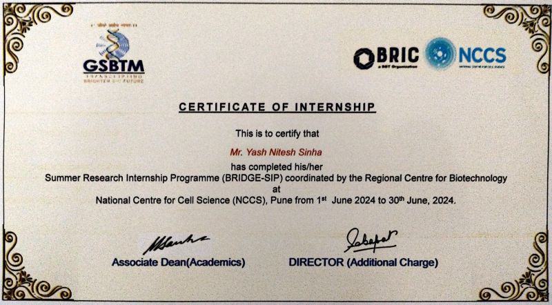 Yash Sinha on LinkedIn: #researchinternship #nccspune #gsbtm # ... Yash Sinha on LinkedIn: #researchinternship #nccspune #gsbtm # ...