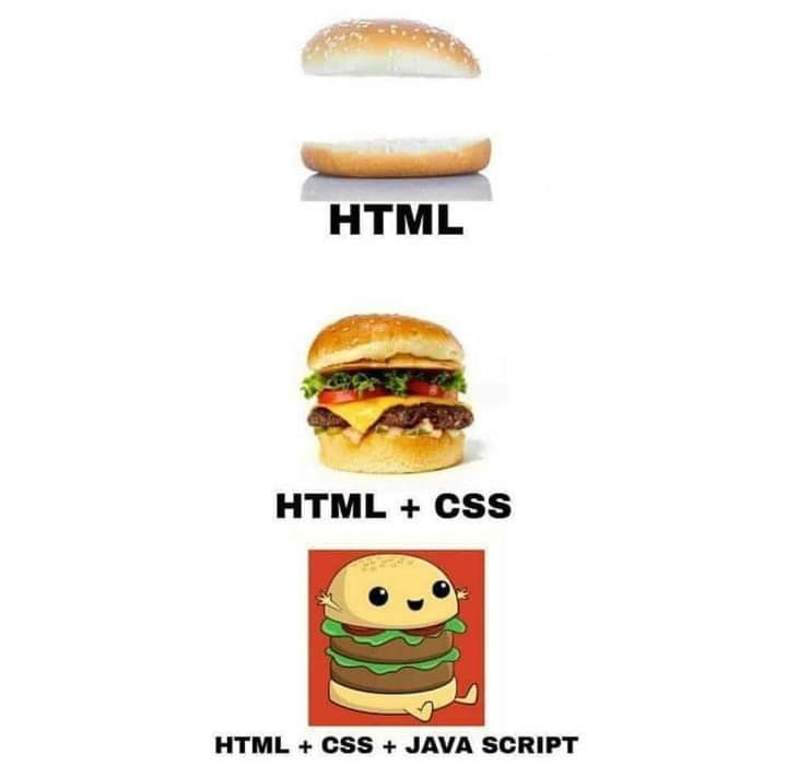 Nouman Fayyaz on LinkedIn: HTML and CSS had a fight, but JavaScript ... Nouman Fayyaz on LinkedIn: HTML and CSS had a fight, but JavaScript ...