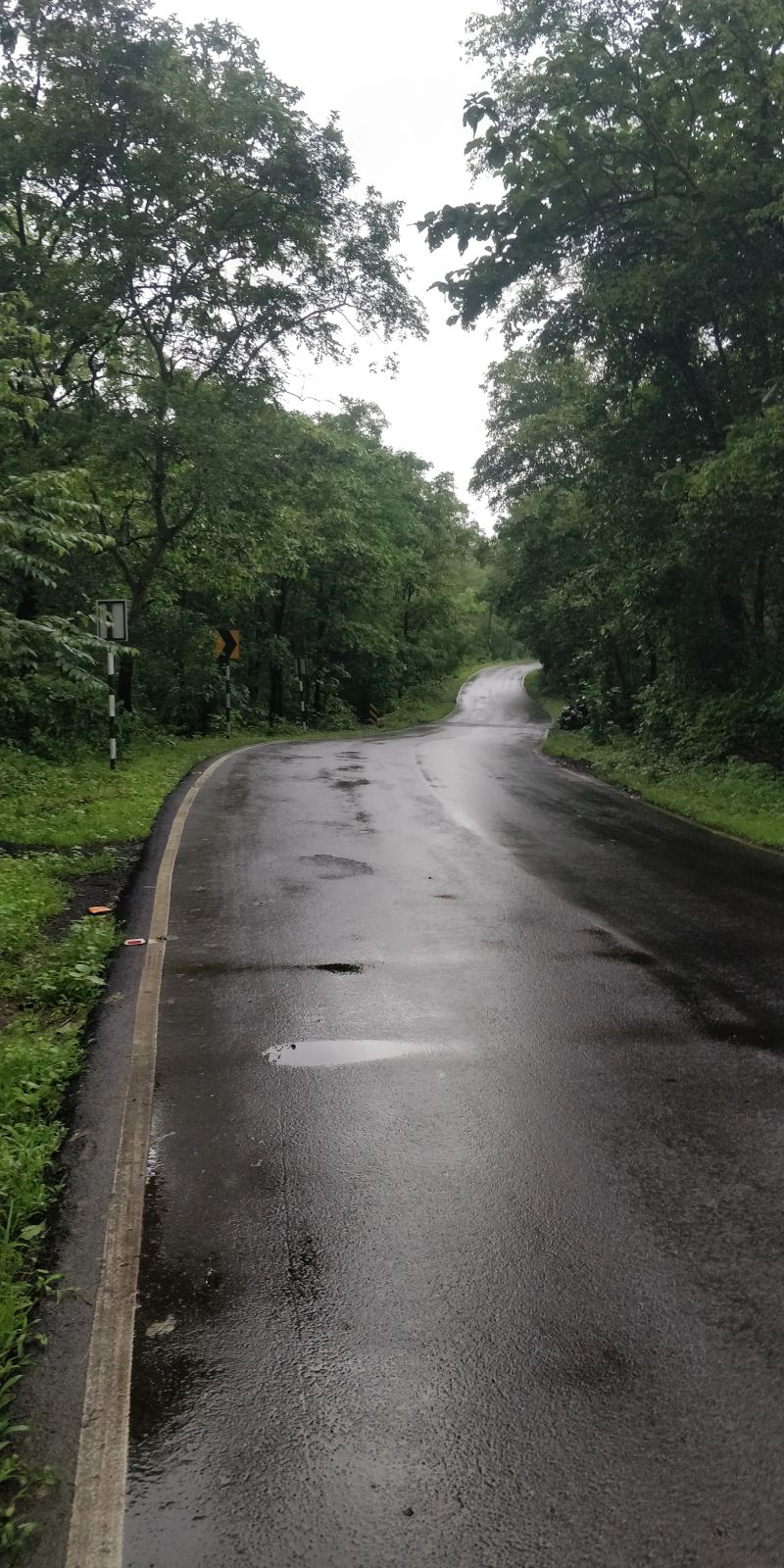 Deewakar Bhojak on LinkedIn: Some random thoughts arrived today... What ... Deewakar Bhojak on LinkedIn: Some random thoughts arrived today... What ...