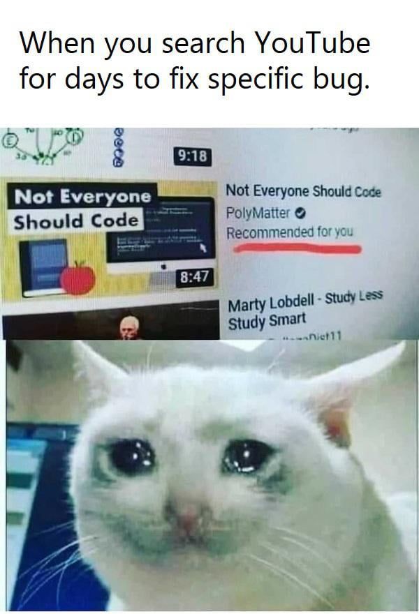 Rishabh Raghwendra on LinkedIn: #memes #programmingmemes #liweb3 Rishabh Raghwendra on LinkedIn: #memes #programmingmemes #liweb3