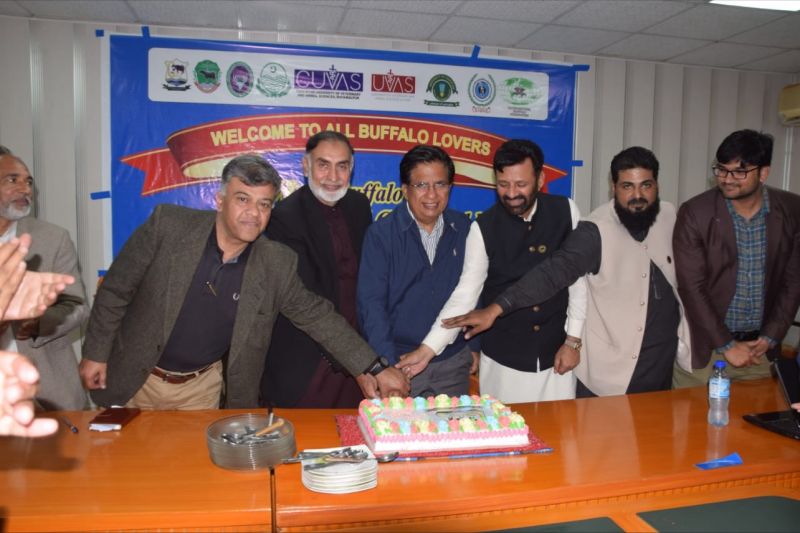 Asif Rafiq on LinkedIn: World Buffalo Day celebrated at Buffalo ... Asif Rafiq on LinkedIn: World Buffalo Day celebrated at Buffalo ...