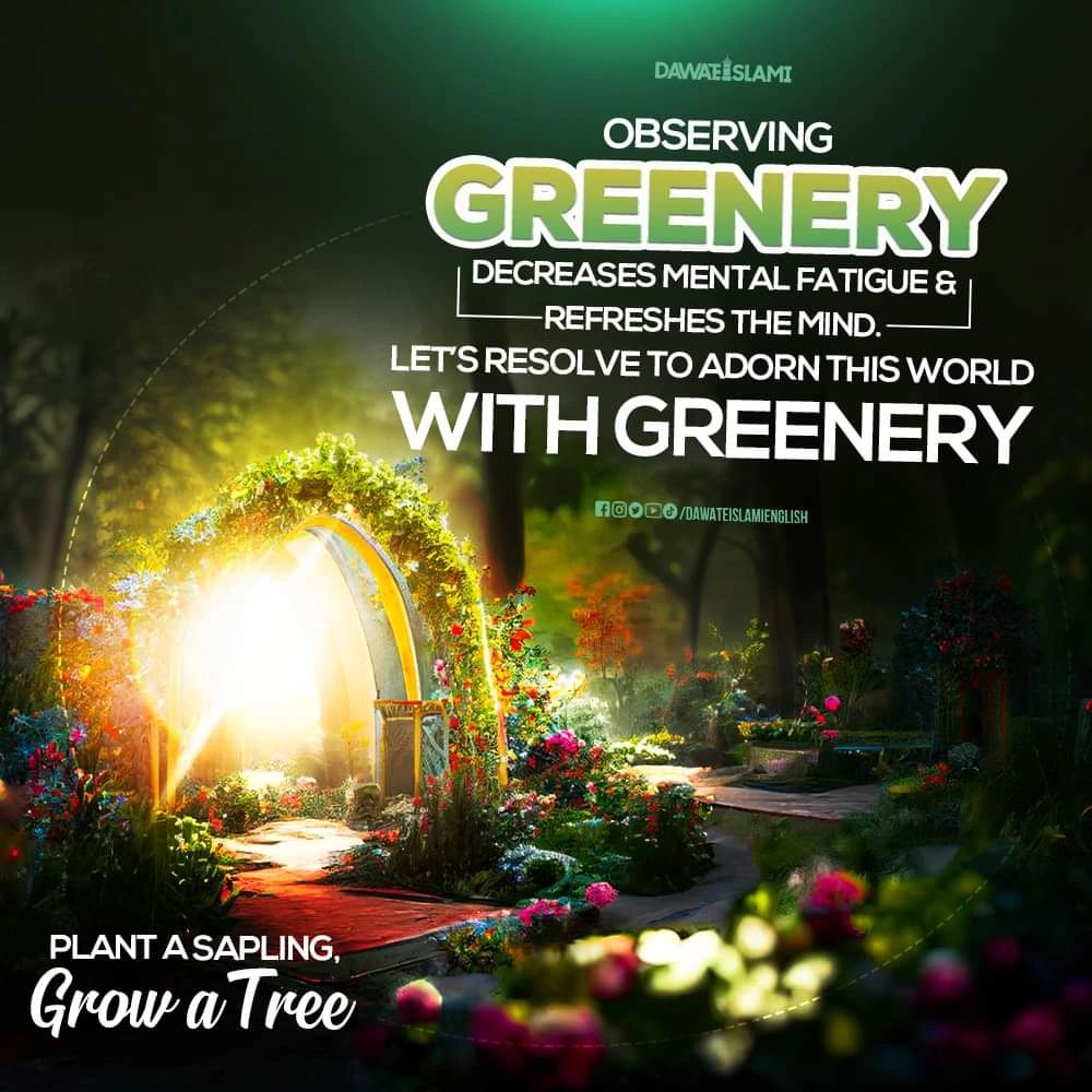 Muhammad Hassan Raza on LinkedIn: #greenery #greenpakistan Muhammad Hassan Raza on LinkedIn: #greenery #greenpakistan