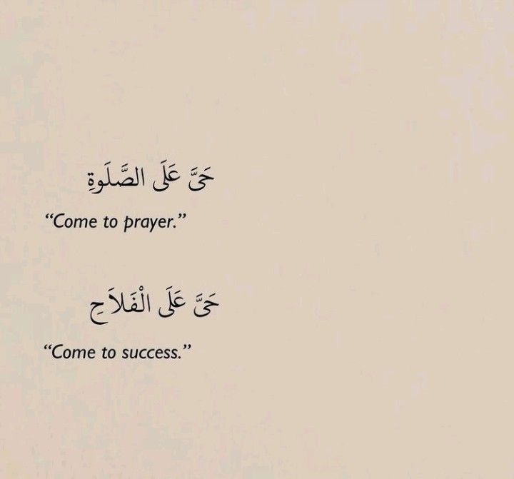 Nida Shah Aziz on LinkedIn: #peace Nida Shah Aziz on LinkedIn: #peace