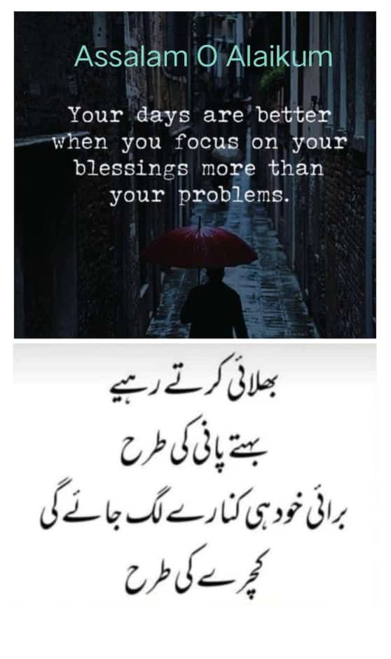 Zeeshan Haider posted on LinkedIn Zeeshan Haider posted on LinkedIn