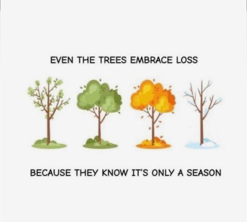 Lisa Stevens on LinkedIn: Sometimes the one on the right looks a little ... Lisa Stevens on LinkedIn: Sometimes the one on the right looks a little ...