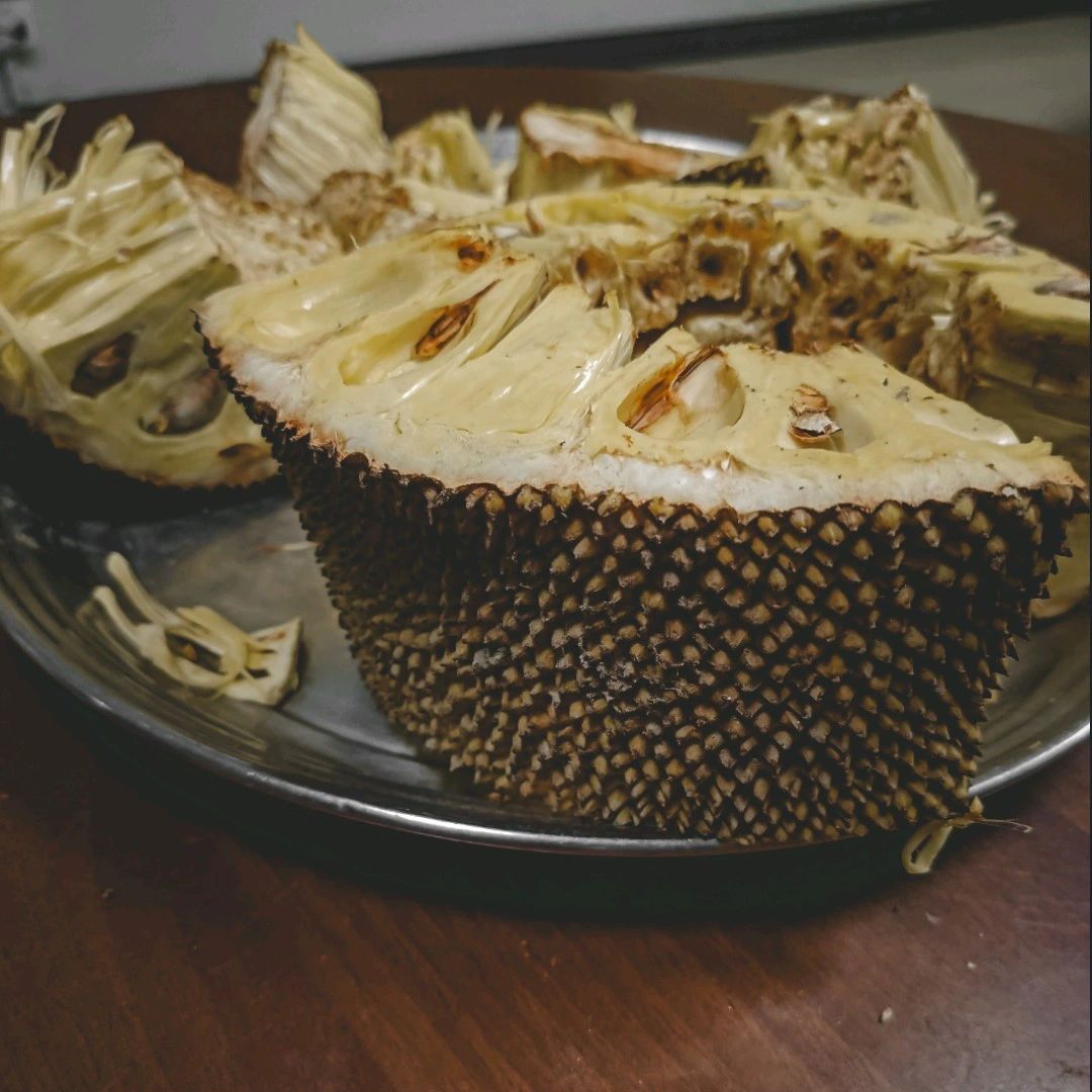 Muhammad Farooque on LinkedIn: #jackfruit #deliciousfruit #pakistan # ... Muhammad Farooque on LinkedIn: #jackfruit #deliciousfruit #pakistan # ...
