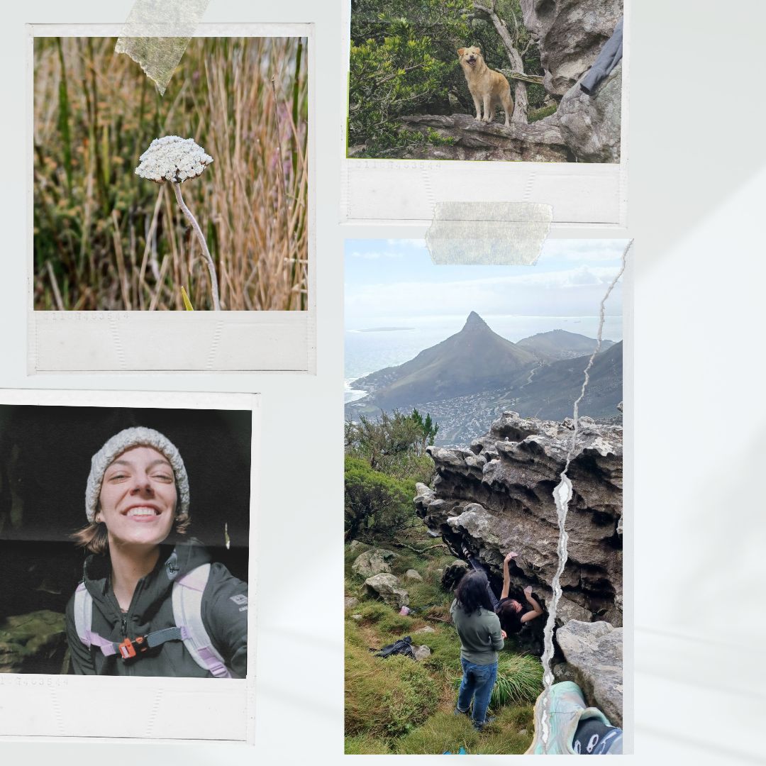 Sinéad McD on LinkedIn: #weekendvibes #hike #mountainview Sinéad McD on LinkedIn: #weekendvibes #hike #mountainview